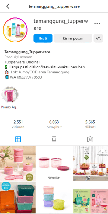 4 Tips Bio Online Shop Yang Keren & Menarik Beserta Contohnya