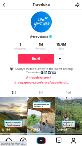 700++ Profil Bio Tiktok Keren, Aesthetic, Singkat Indo & Inggris